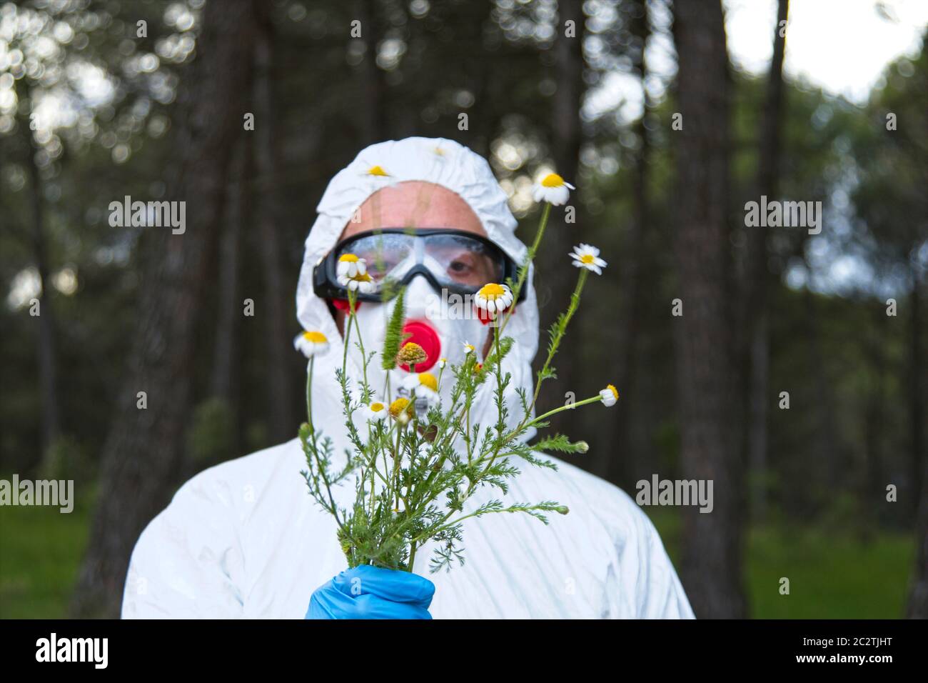 Person with a safety suit and a bunch of flowers in a forest area Stock ...
