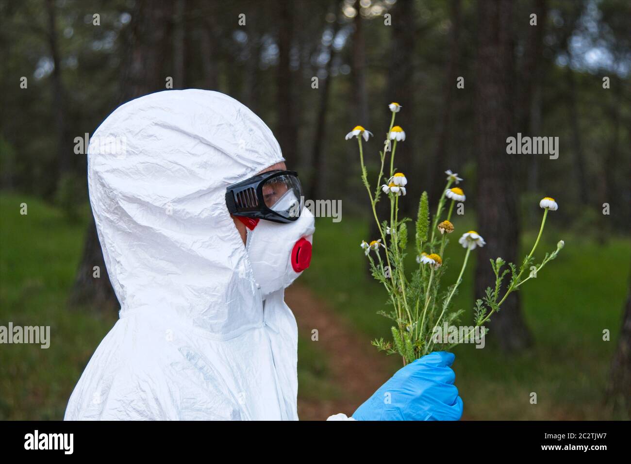 Person with a safety suit and a bunch of flowers in a forest area Stock ...