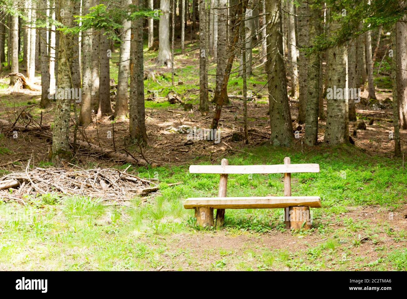 Wooden bench in the forest Stock Photo - Alamy