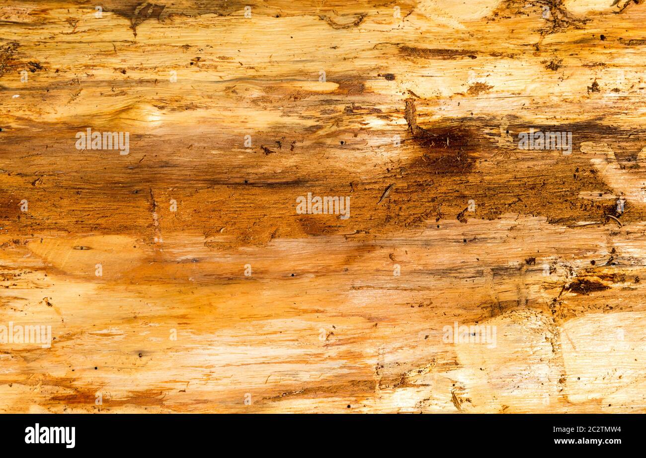 Old rought rotten wood. Background or texture Stock Photo - Alamy