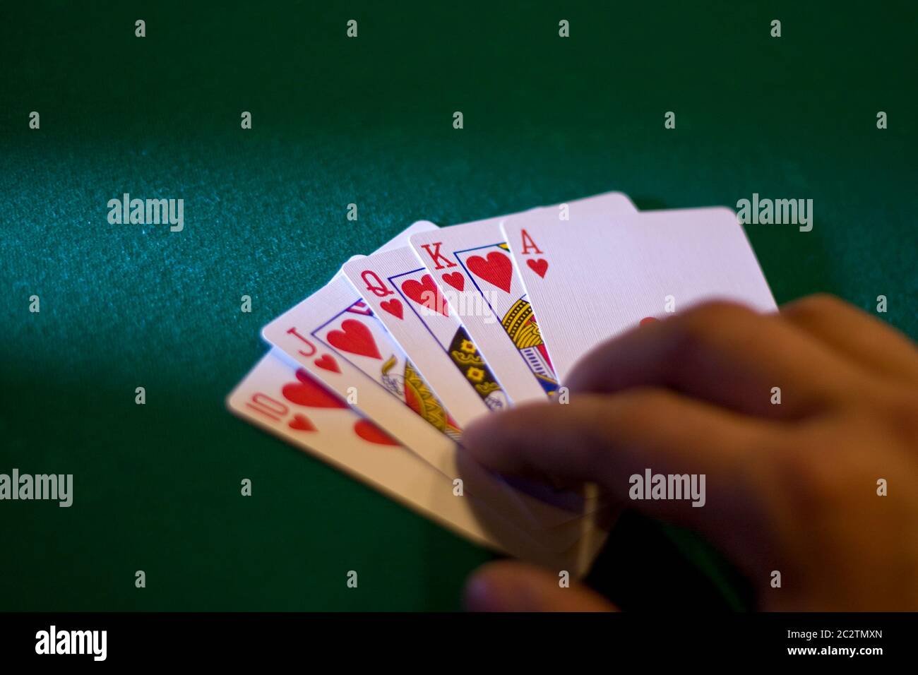 Full flash macro hi-res stock photography and images - Alamy