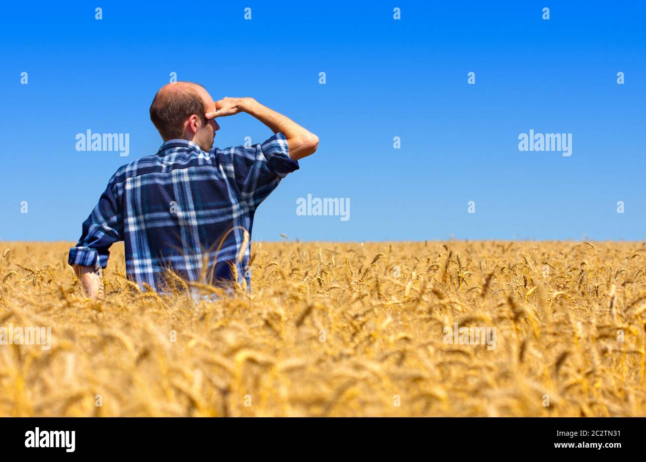 Person checking grains hi-res stock photography and images - Alamy