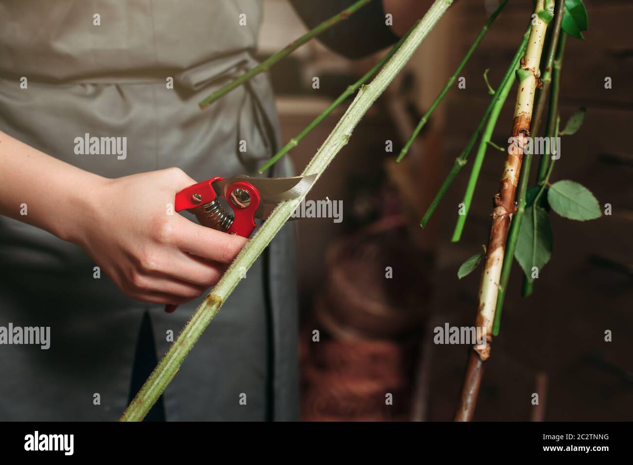 View Green Hands Hip High Resolution Stock Photography and Images - Alamy