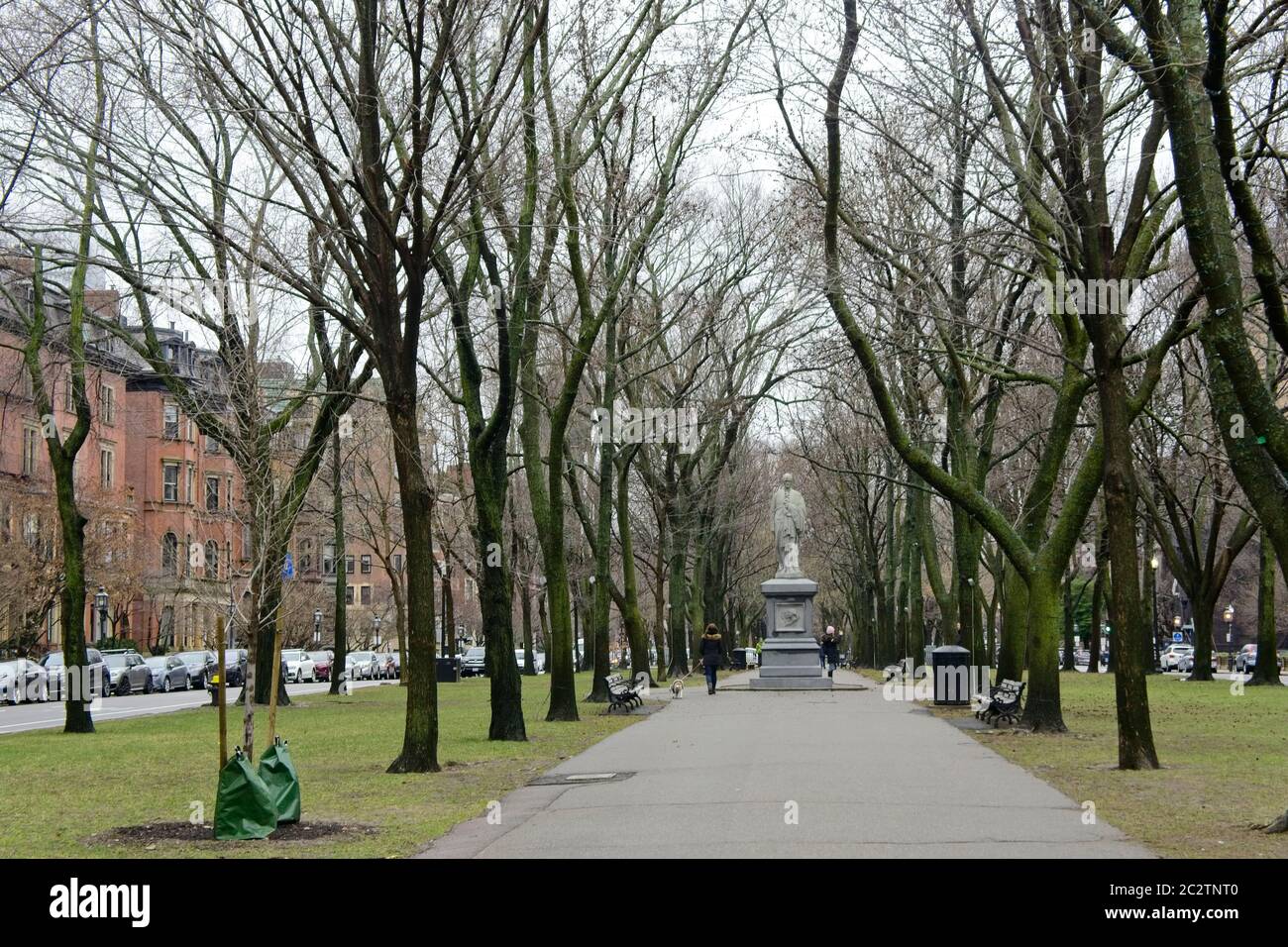 Boston, MA December 31, 2019 - the Commonwealth Avenue Mall in Boston ...