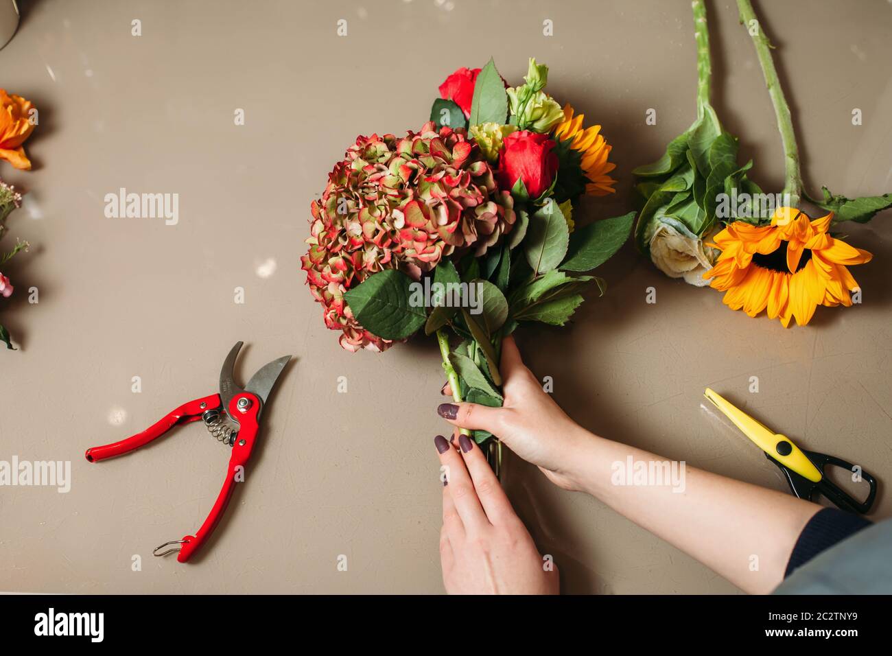 Florist hands cutting rose with garden scissors. Florist creating ...