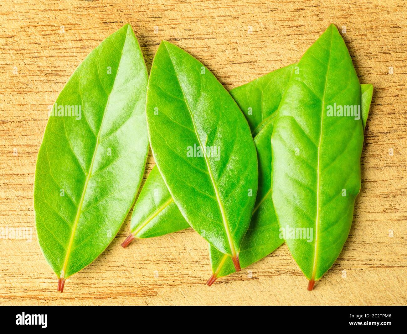 Bay fresh hi-res stock photography and images - Alamy