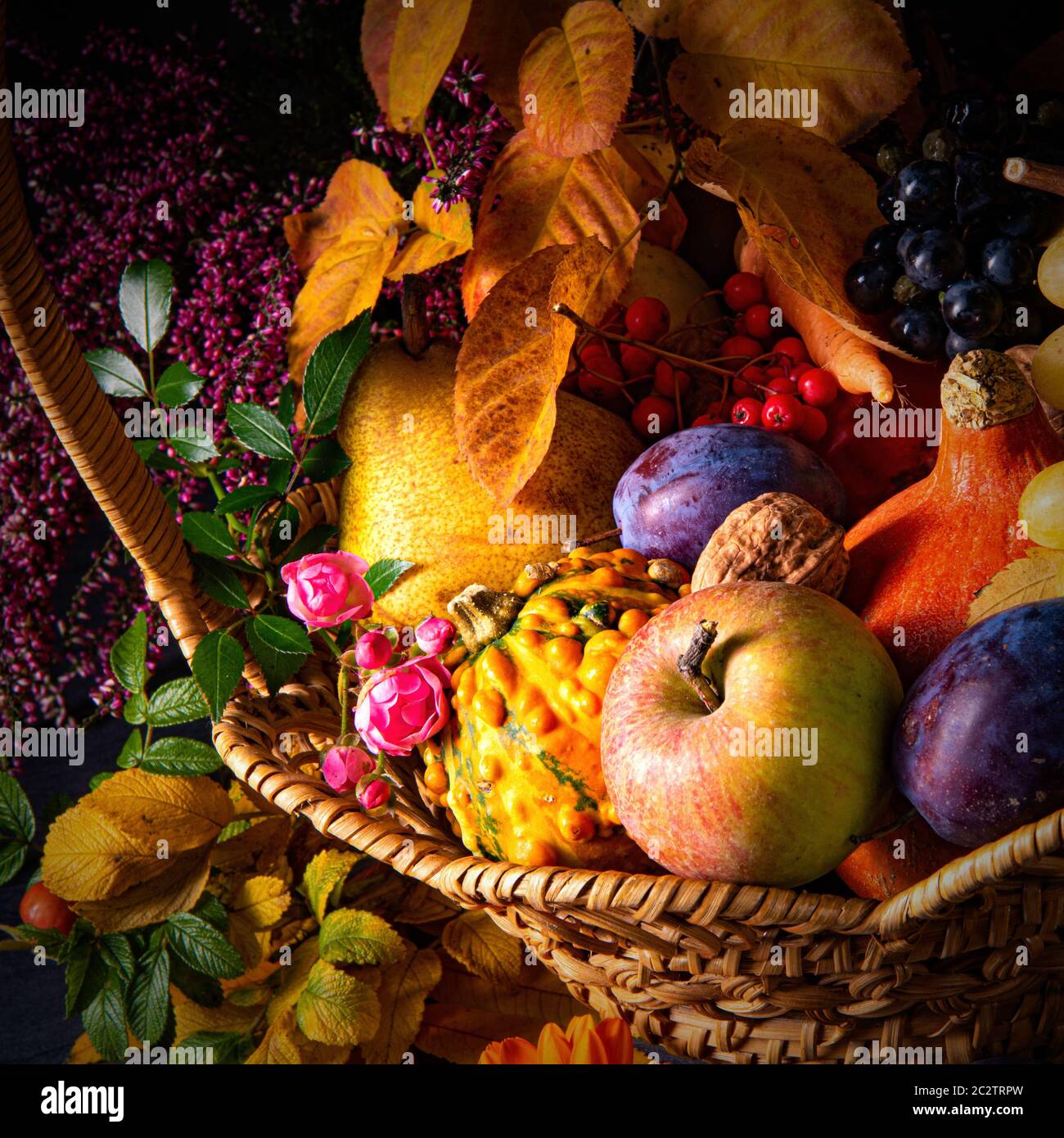 Cornucopia empty hi-res stock photography and images - Alamy
