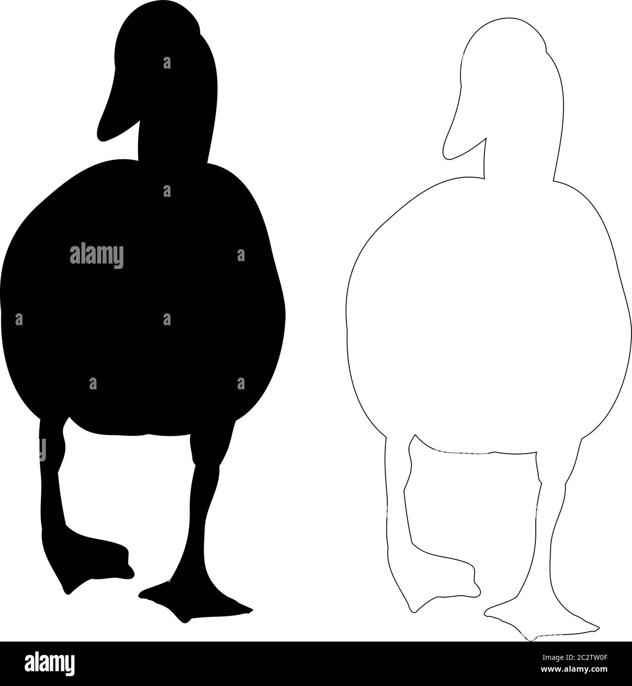 Standing ducks Stock Vector Images - Alamy