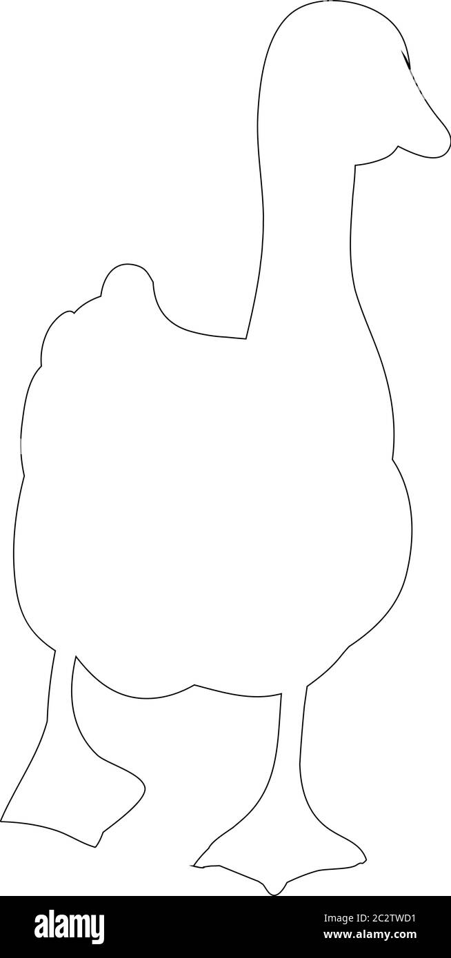 isolated contour duck on white background Stock Vector Image & Art - Alamy