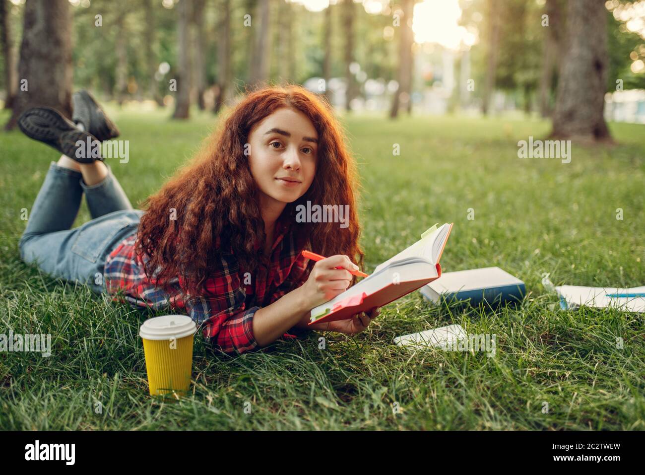 Female student preparing for exams on the grass in summer park. Ginger ...