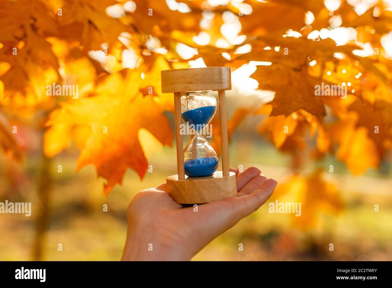 Autumn time theme, Sandglass on fallen leaves in various colors with copy space Stock Photo - Alamy