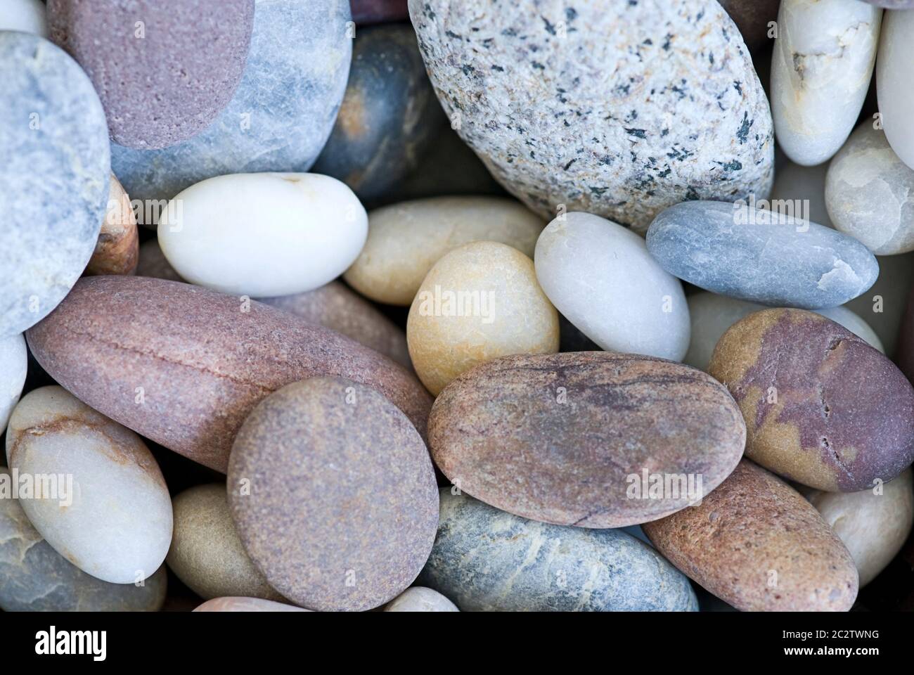 Greige backdrop hi-res stock photography and images - Alamy