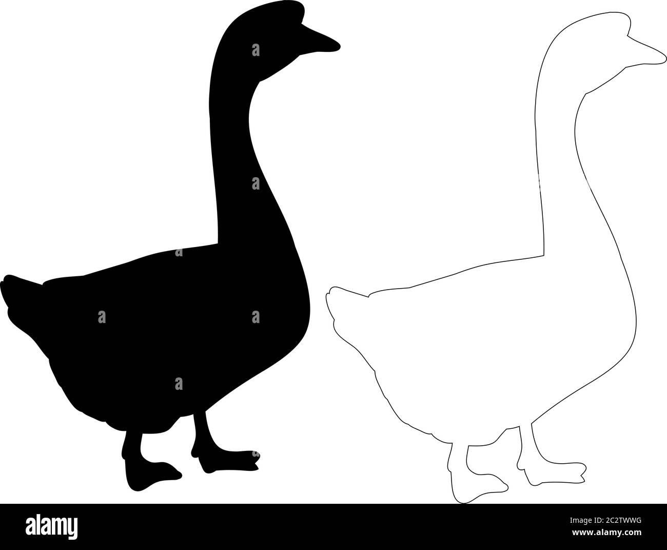 vector, isolated silhouette of geese and ducks Stock Vector Image & Art ...
