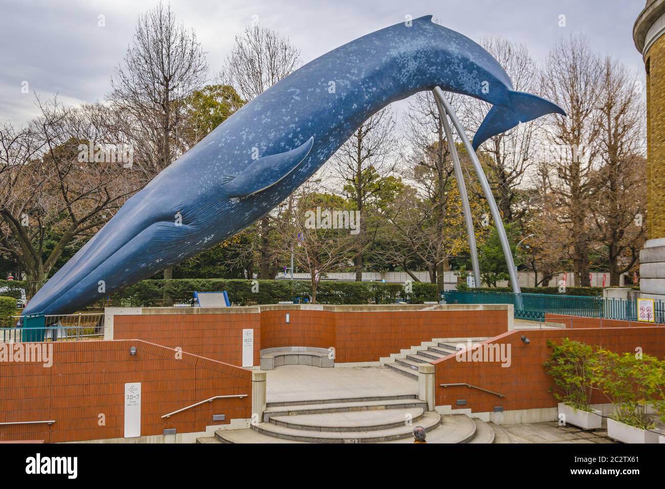 Science Museum Japan at Elijah Elliston blog