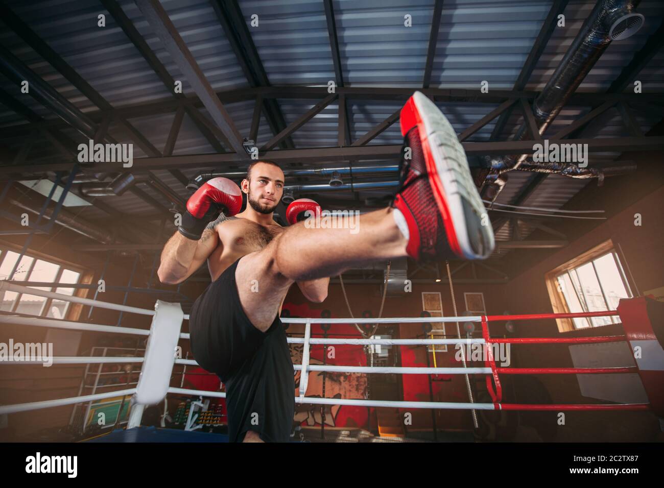 Strength fighter in red boxing gloves at a training. Exercise for legs ...