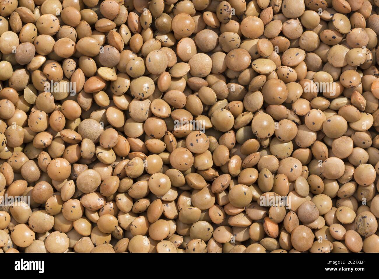 Close up shot of mountain lentils Stock Photo - Alamy