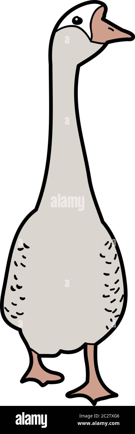 goose, duck, on white background Stock Vector Image & Art - Alamy