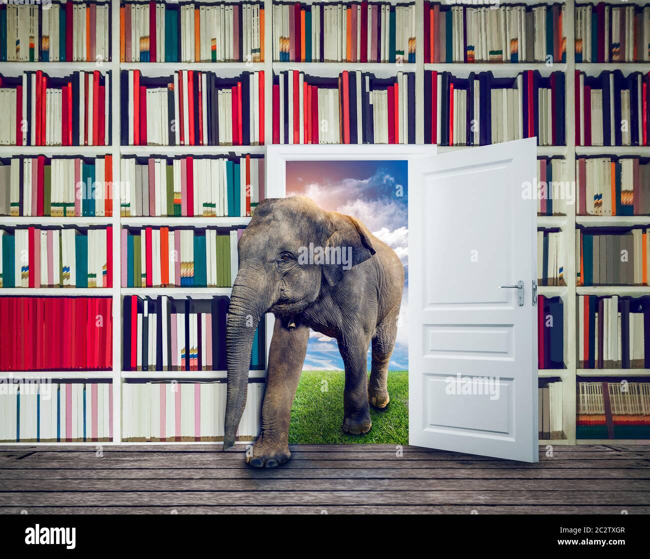 Elephant against book shelf in library, knowledge symbol, metaphor ...