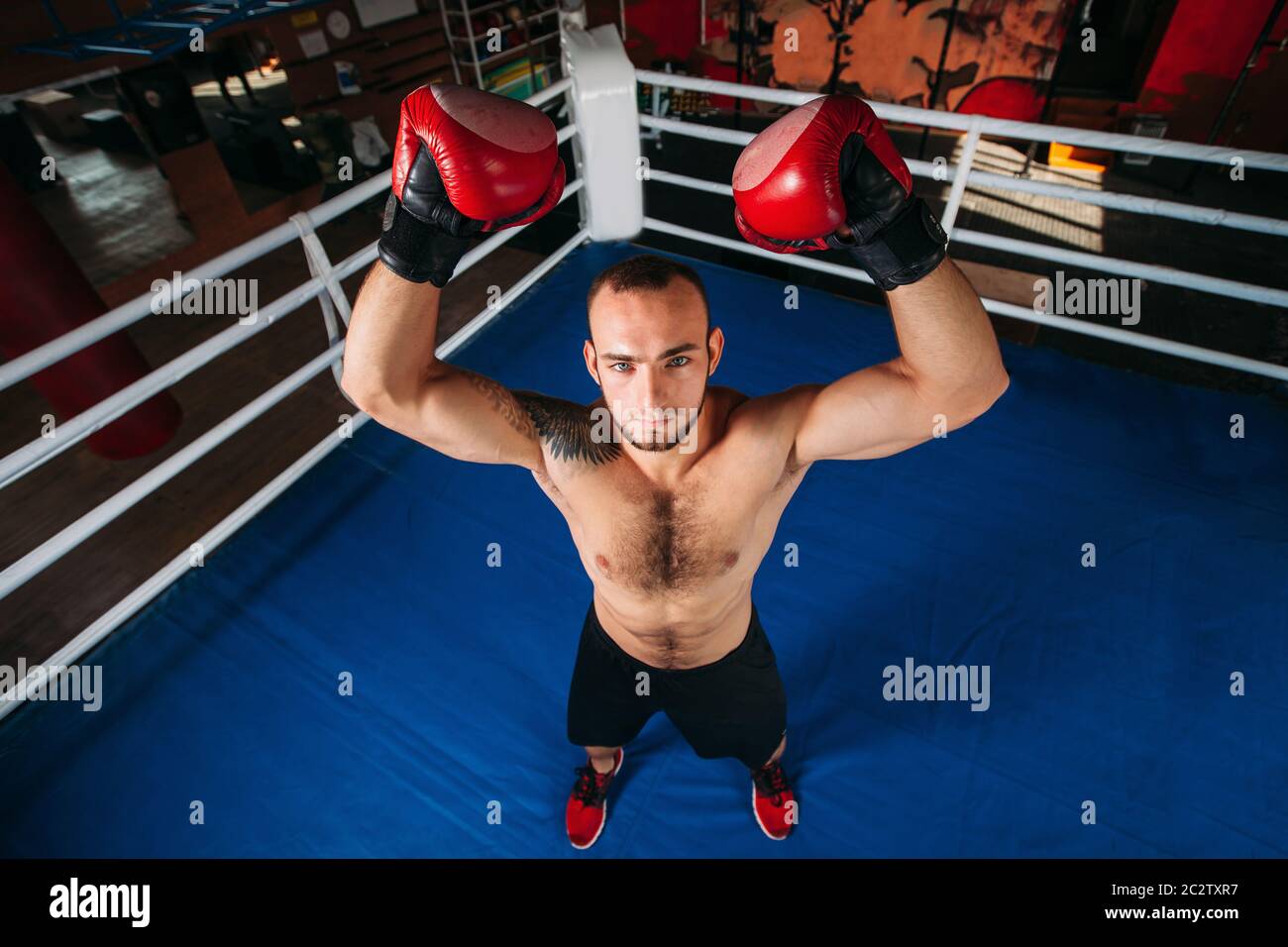 Boxer with an angry face has raised a hand up. Fighting ring on the ...