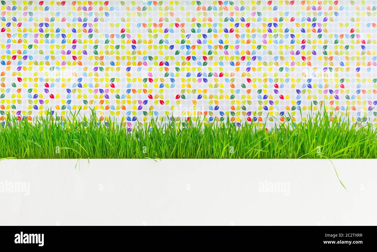 Green grass plant decorating on the wall. Background Stock Photo - Alamy