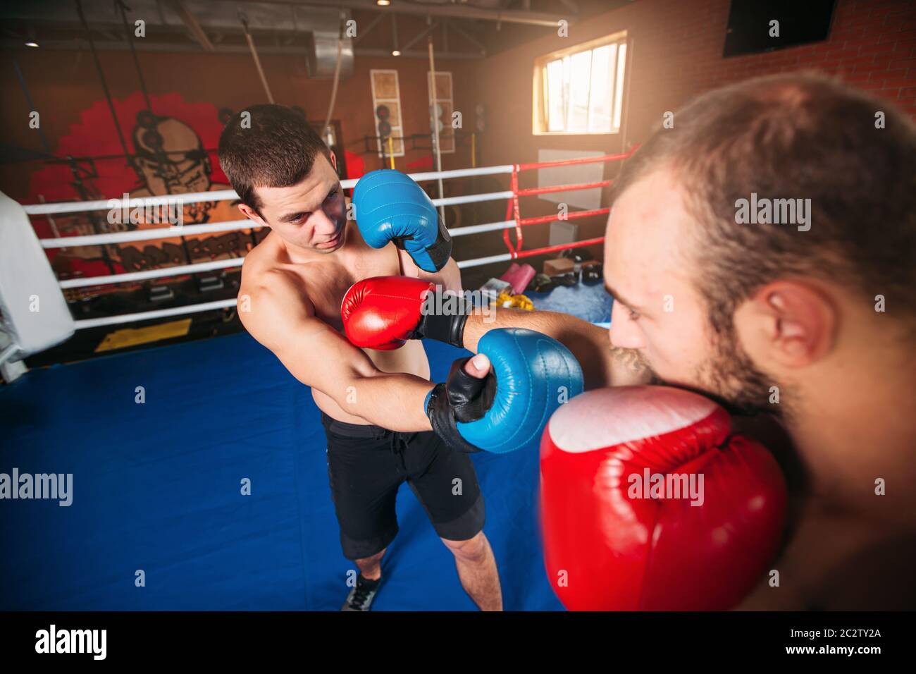 Boxer sents his opponent to the knockout. Fighting ring on the ...
