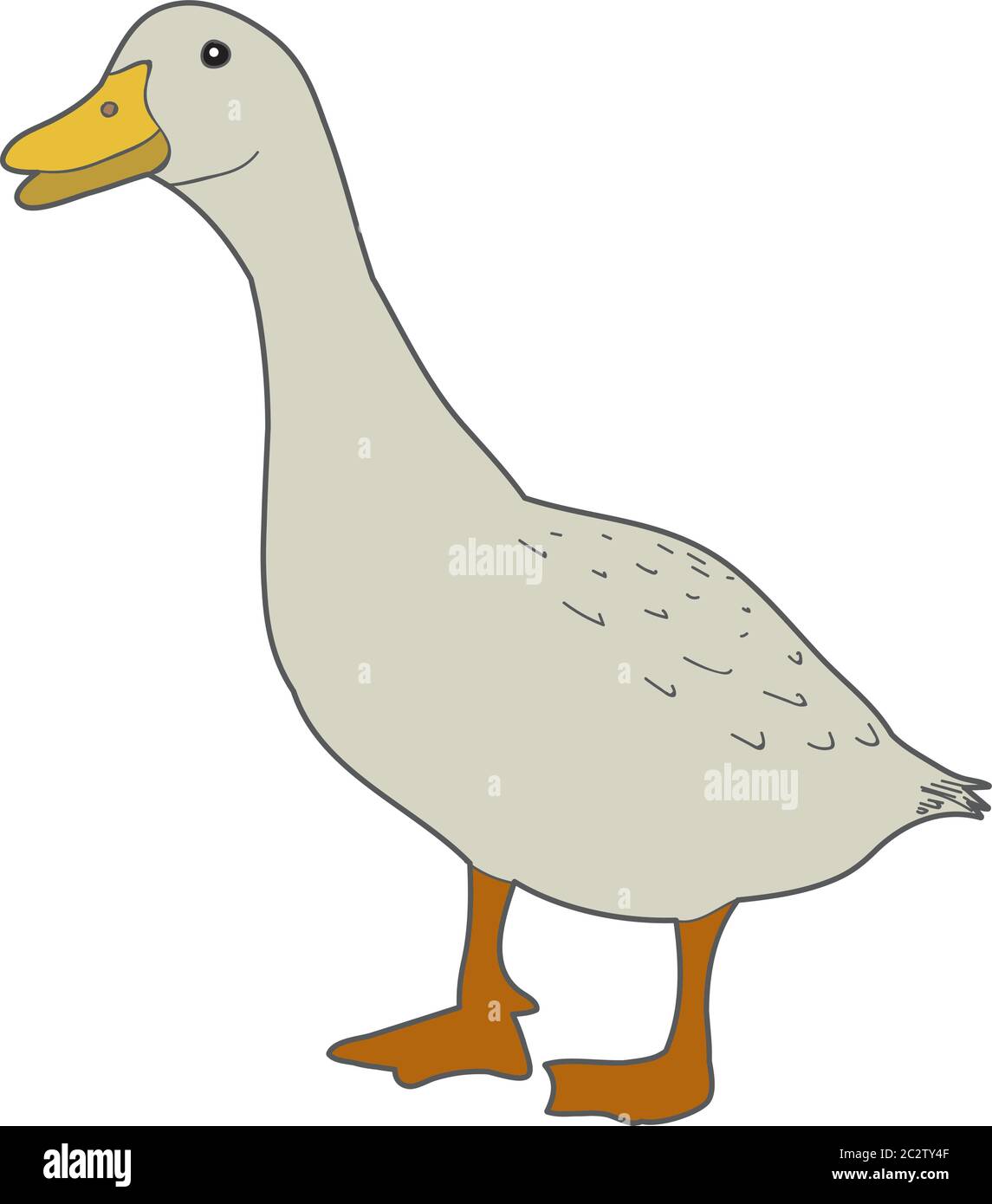 vector, isolated goose, duck, on white background Stock Vector Image ...