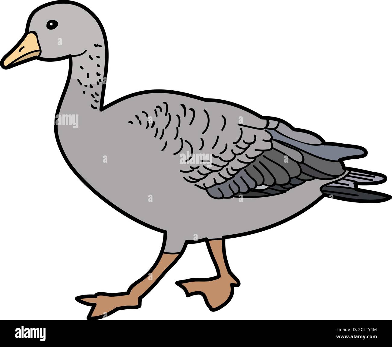 isolated goose, duck, on white background Stock Vector Image & Art - Alamy