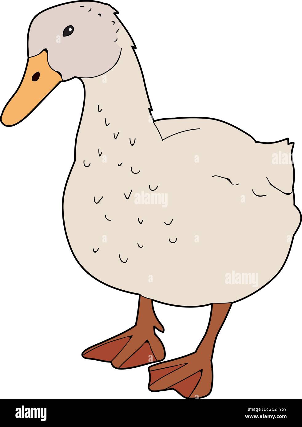 bird goose, duck Stock Vector Image & Art - Alamy