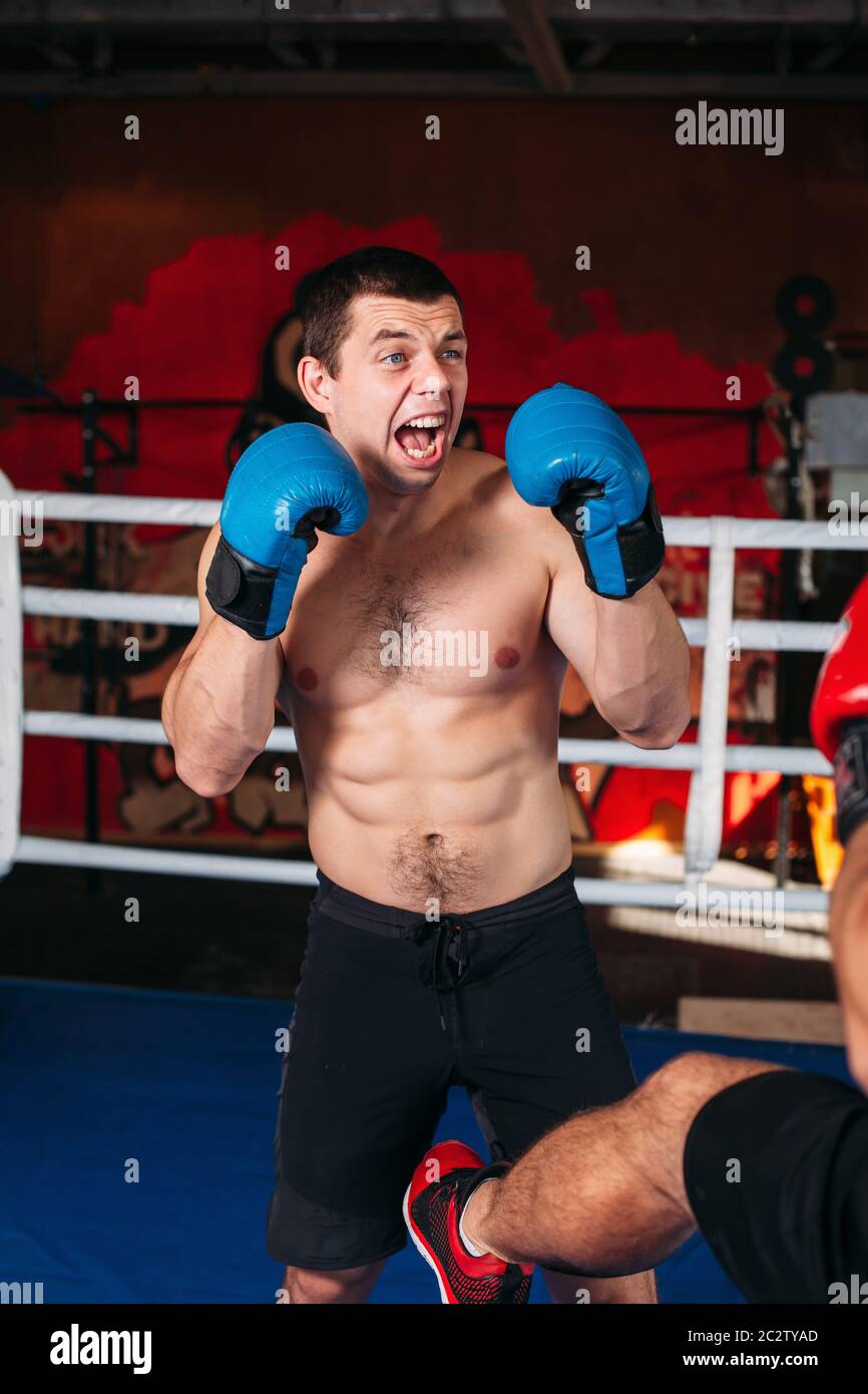 Muscular fighter with an angry face on a ring. Training gym on the ...