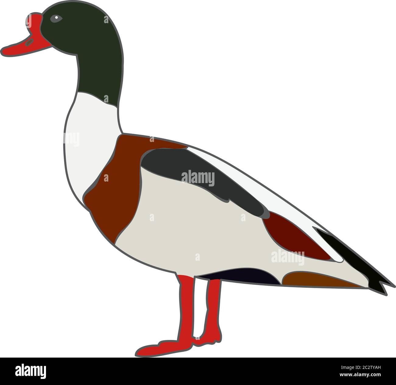vector, isolated goose, duck, bird on white background Stock Vector ...