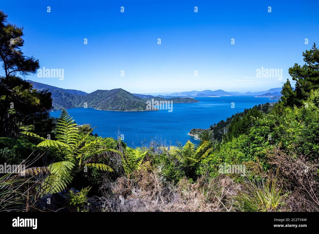 Queen inlet hi-res stock photography and images - Alamy