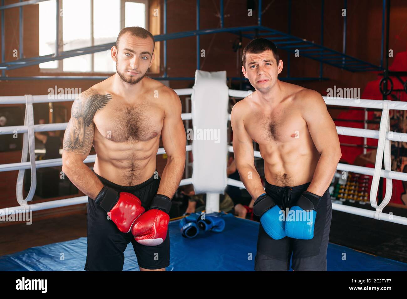 Two boxers funny pose in the ring. Fight training. Boxing ring on the ...