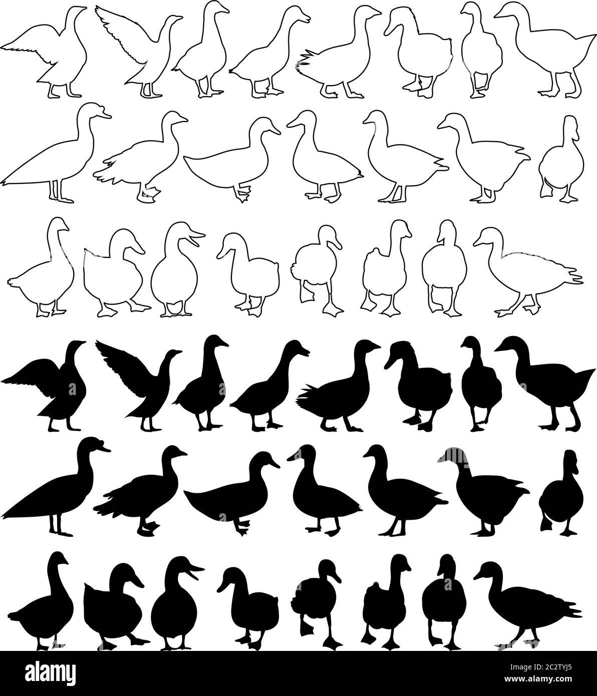 vector, isolated silhouette of geese and ducks Stock Vector Image & Art ...