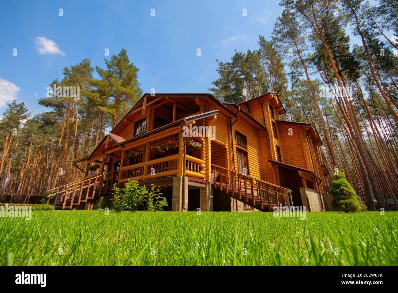 Big wooden mansion in pine forest Stock Photo - Alamy