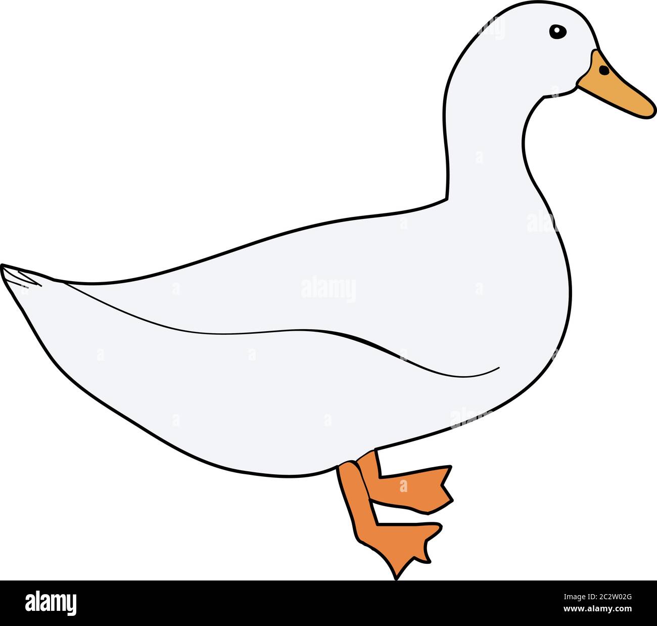 goose, duck on white background Stock Vector Image & Art - Alamy