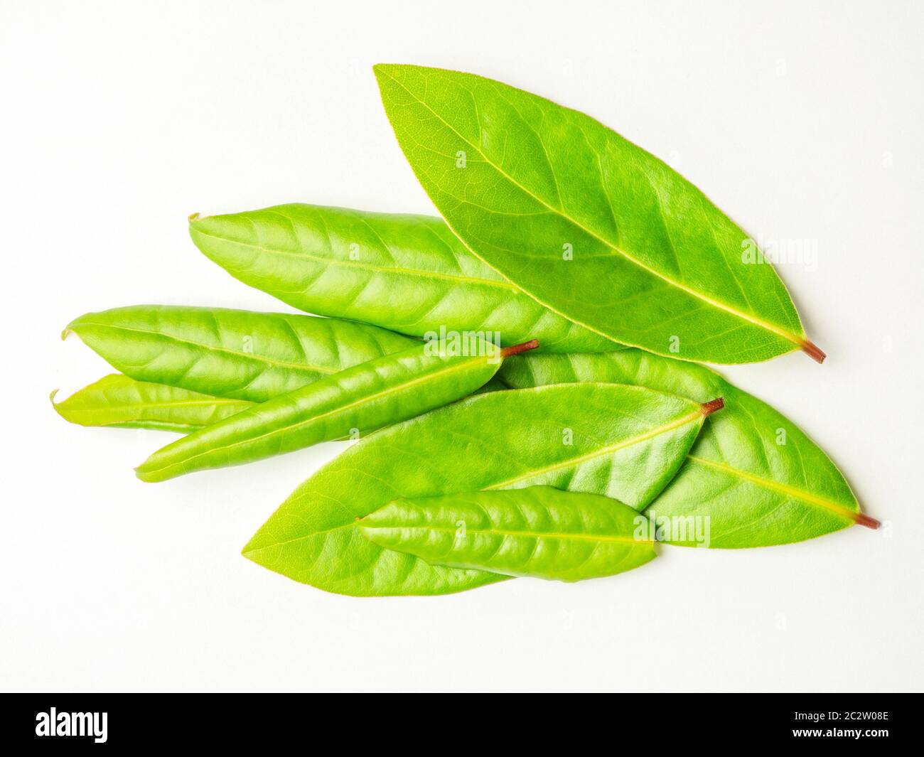 Bay leaves background hi-res stock photography and images - Alamy