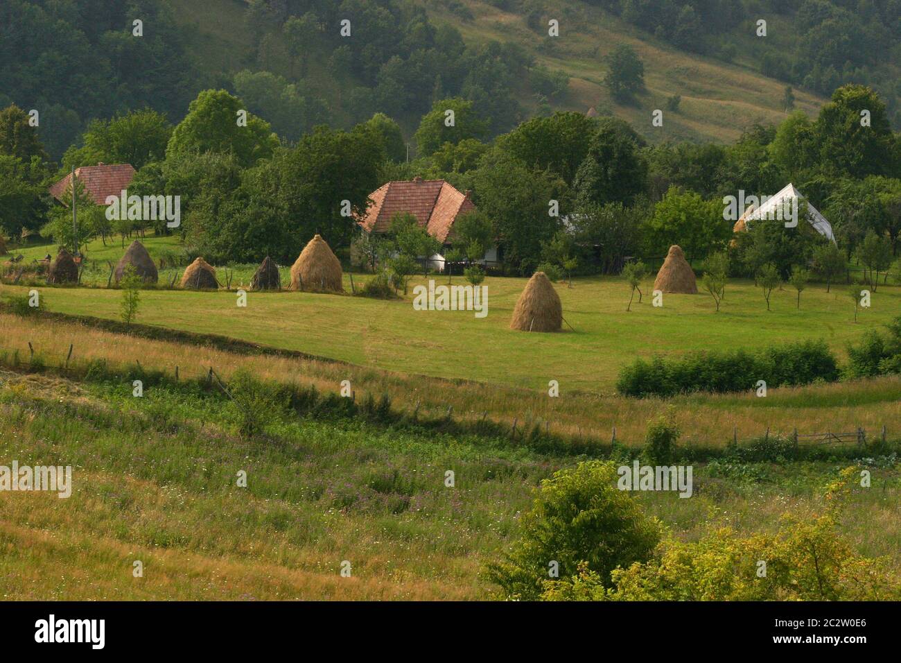 Field of haystacks hi-res stock photography and images - Alamy