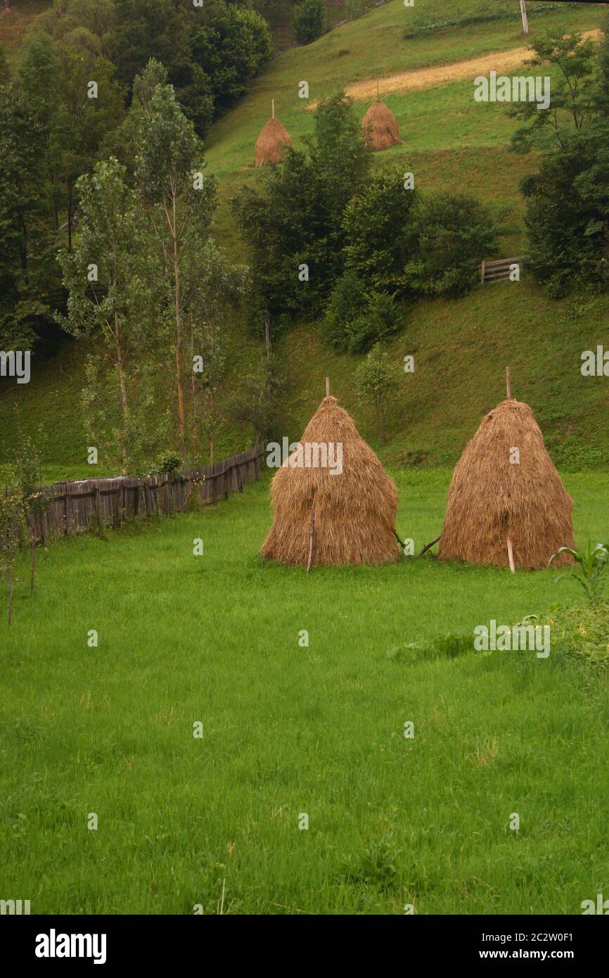 Stacks of dried grass hi-res stock photography and images - Alamy