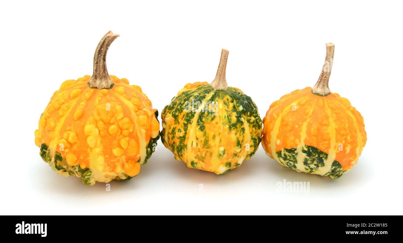 Art & Collectibles Fiber Arts Crochet White Lumpy Pumpkin Large etna.com.pe