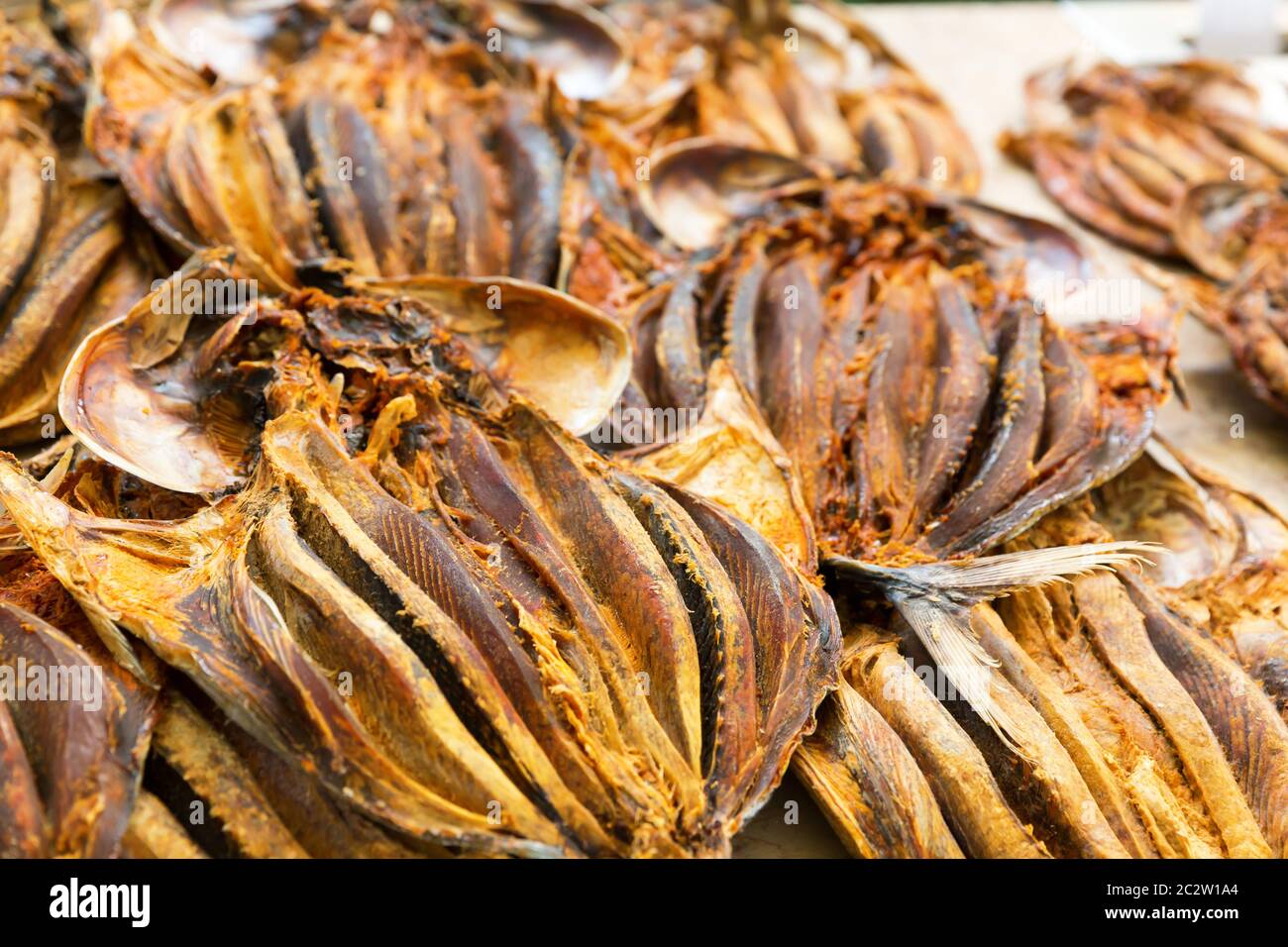 Testy fish hi-res stock photography and images - Alamy