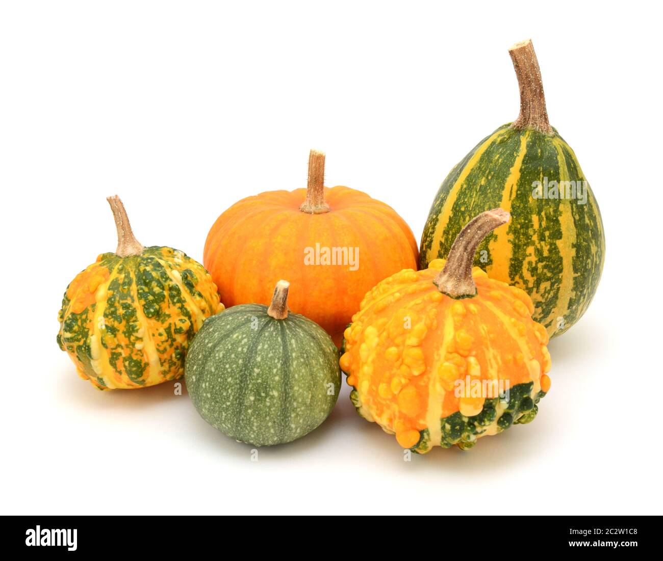 Group of decorative gourds with orange and green markings for fall ...