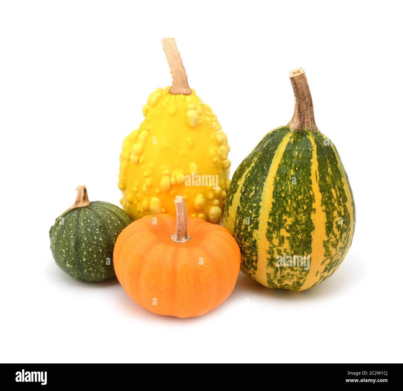 Green orange yellow ornamental gourds hi-res stock photography and ...