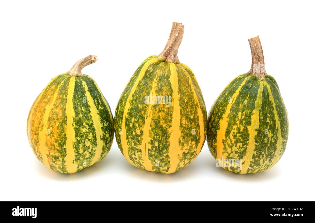 White striped gourds hi-res stock photography and images - Alamy