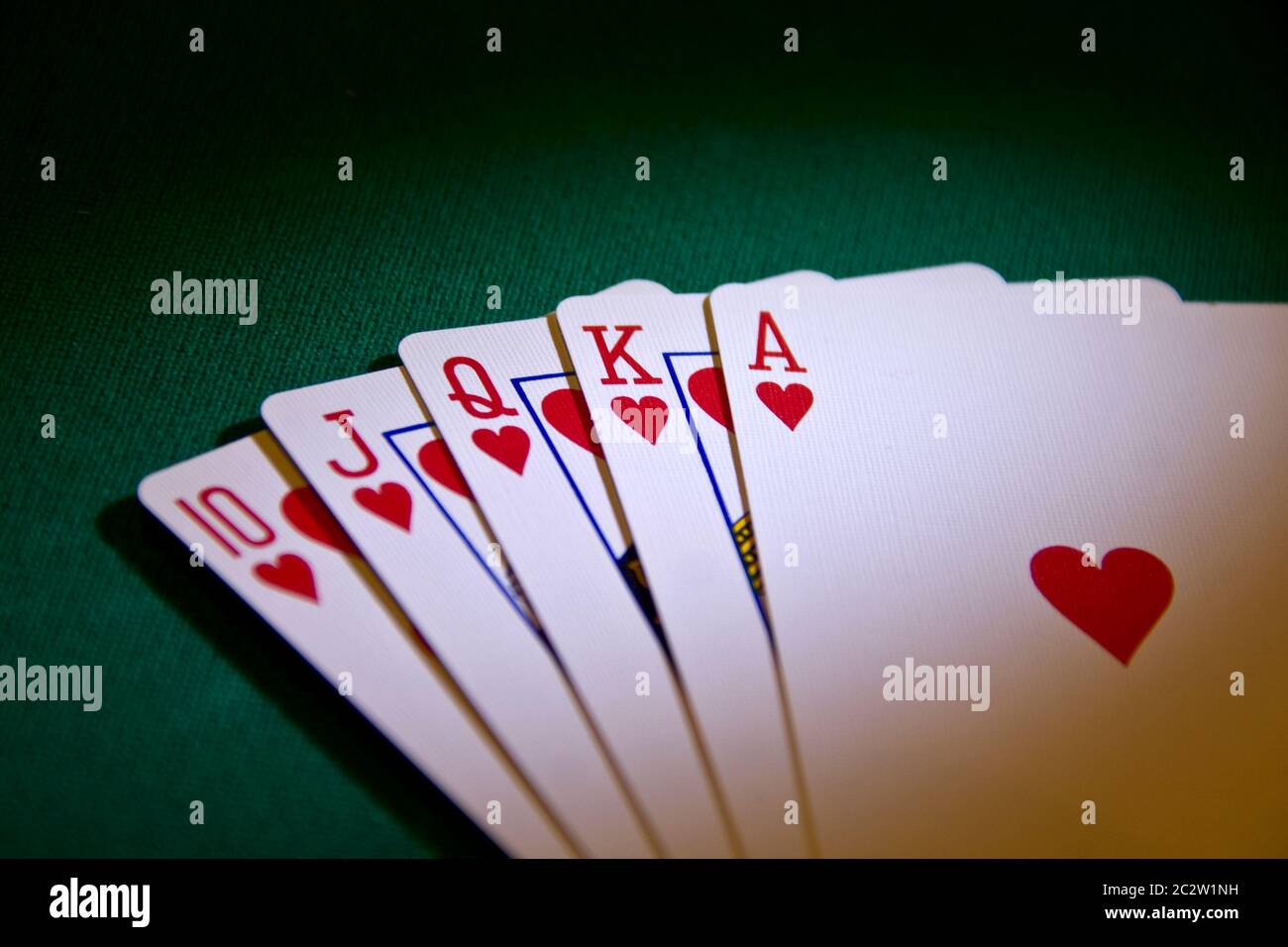 Full flash macro hi-res stock photography and images - Alamy