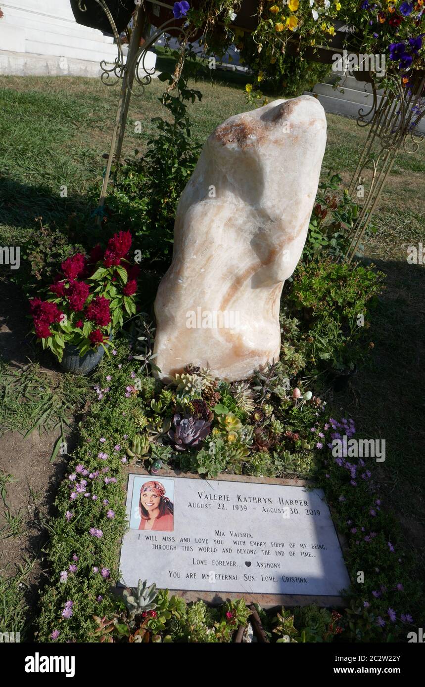Hollywood, California, USA 17th June 2020 A general view of atmosphere ...