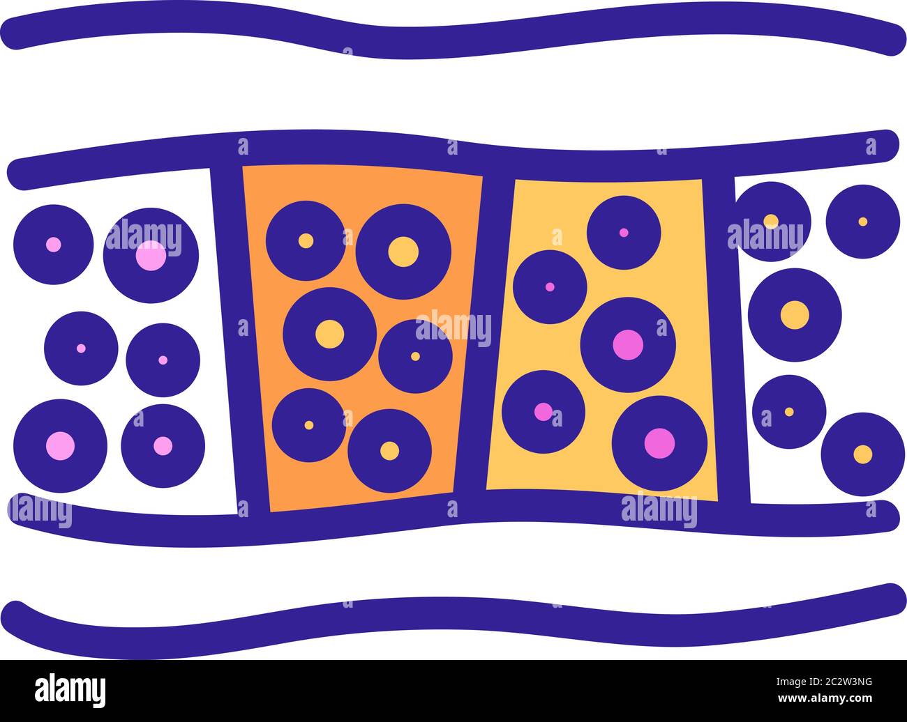 Human buttocks Stock Vector Images - Alamy