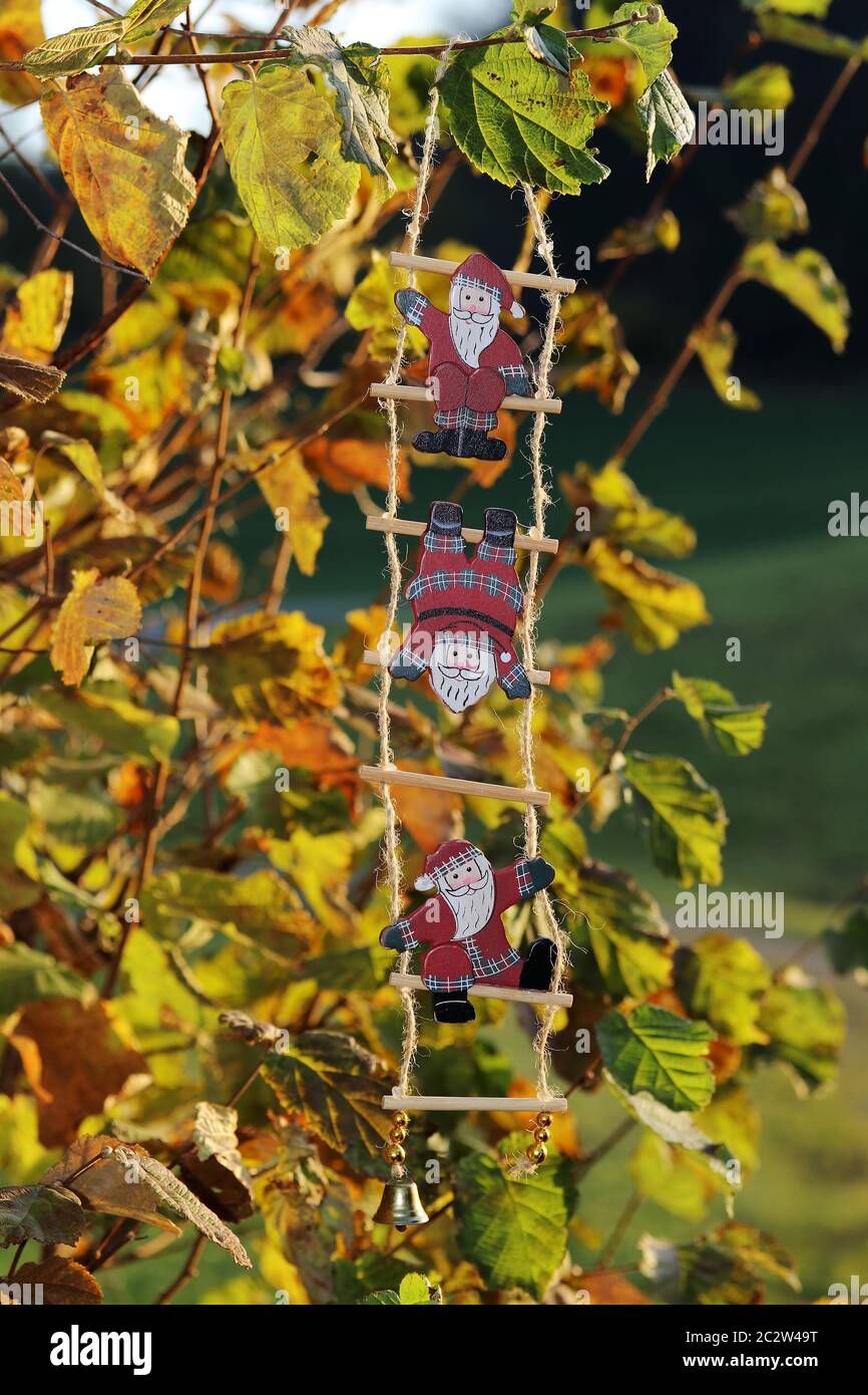 A Santa Claus decoration on an autumn tree with colourful foliage Stock ...