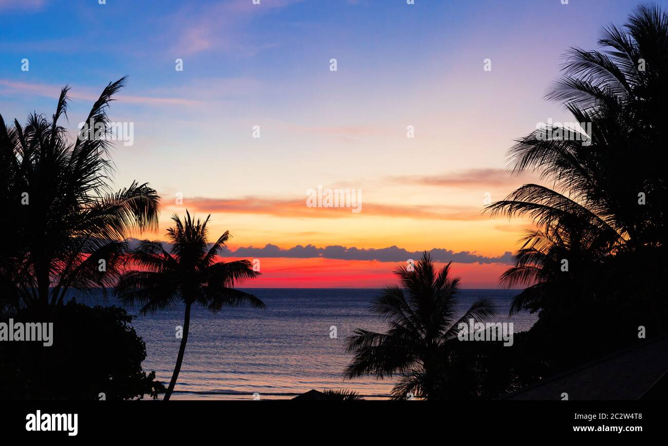 Tropical sunset with palm trees Stock Photo - Alamy