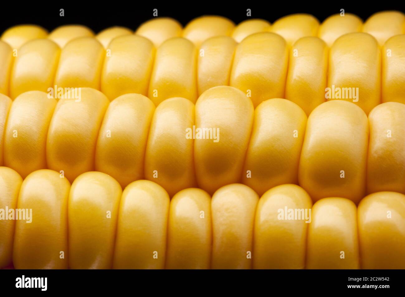 Close-up of ripe corn on the cob Stock Photo - Alamy