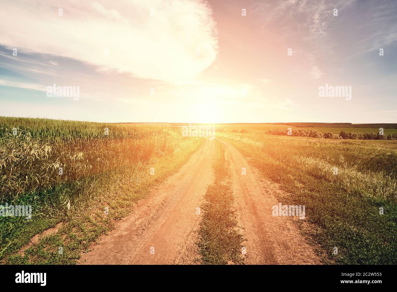 Sunset rural farm meadow horizon view. High quality photo Stock Photo ...